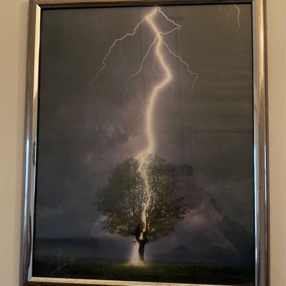 Art | Lightning Striking Tree Photo Art Silver Frame Included 17x21 ...